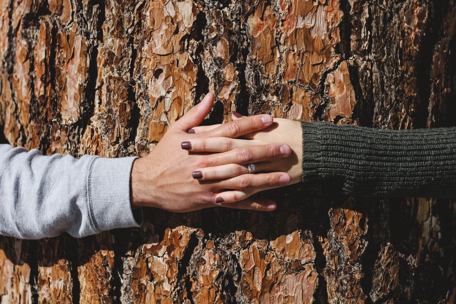 Healing the Wounds Caused by Attachment Trauma - Bothell Christian ...